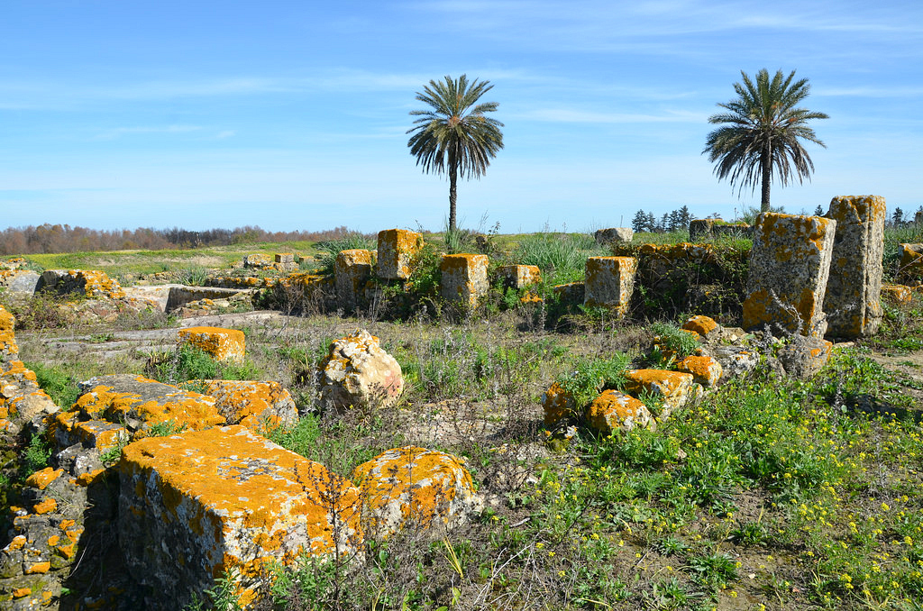 Banasa – following hadrian photography