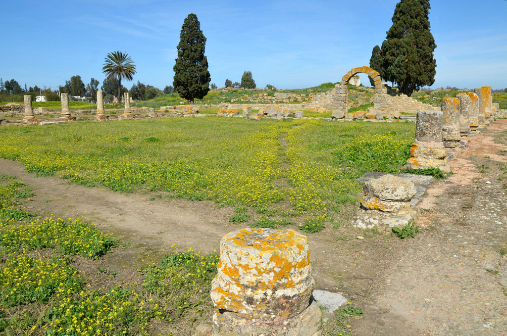 Banasa – following hadrian photography