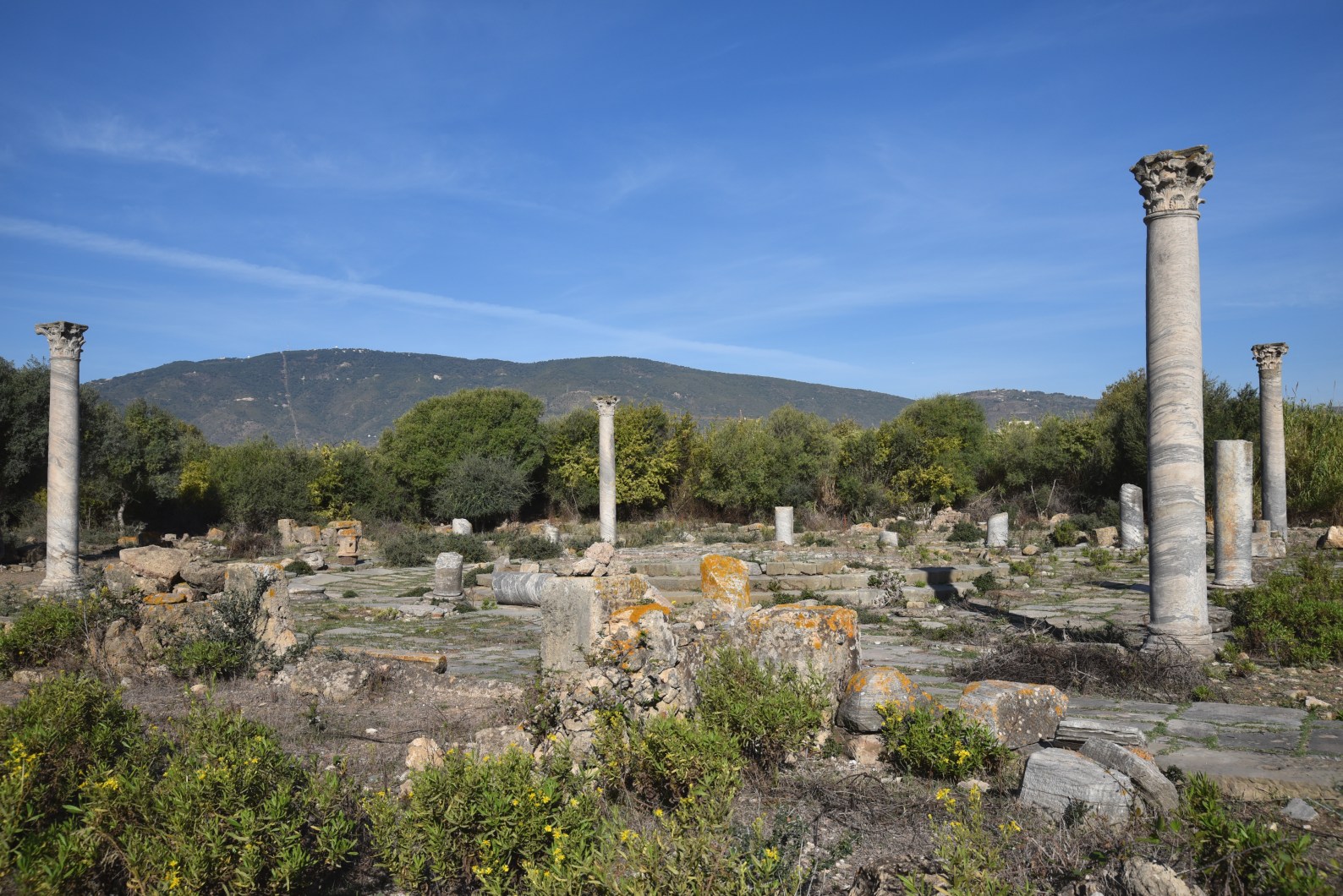 Hippo Regius – following hadrian photography